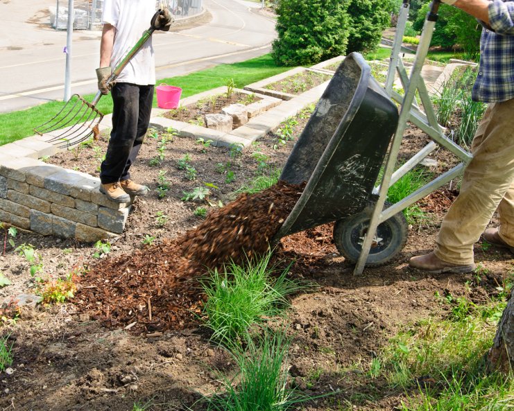Tips To Make Tough Landscaping Projects Easier